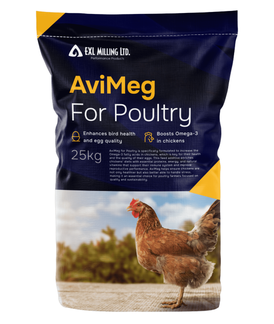 AviMeg | EXL Milling